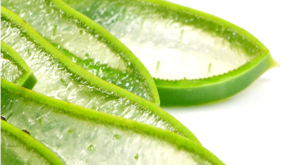 Unlock Skin's Potential Olivera Clarifying Serum — usbeautybazaar